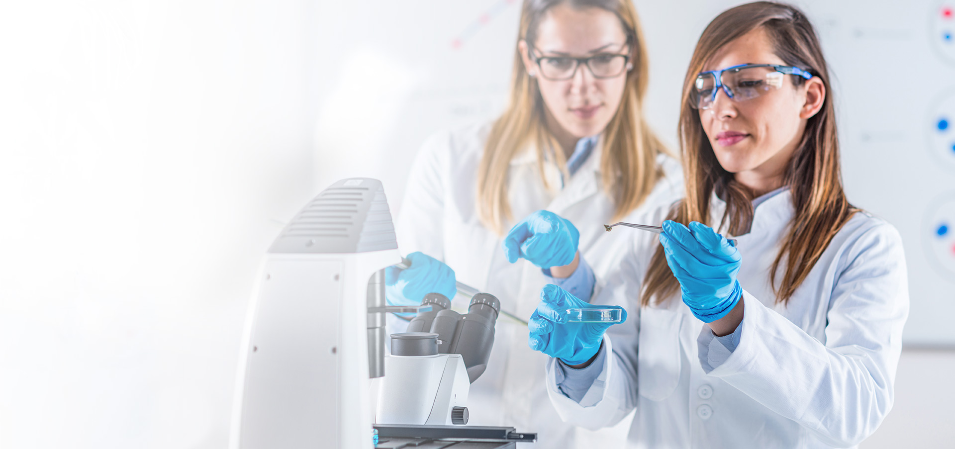 Bridge | Demo Site for Laboratory